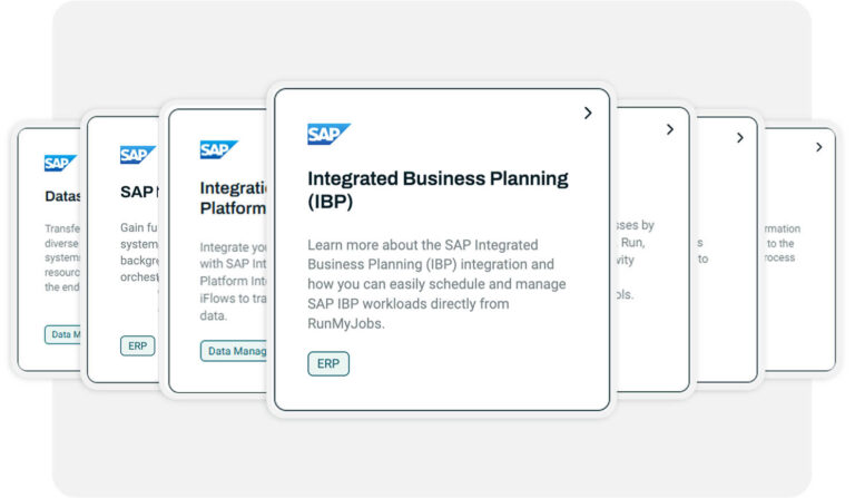 SAP Production Planning (PP) Software