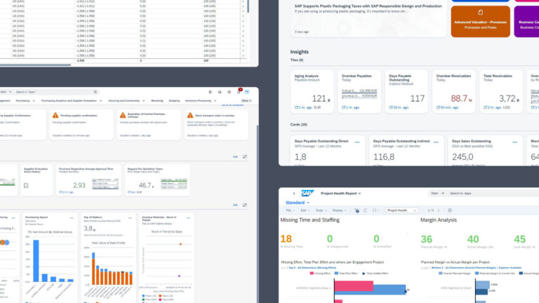Maximize Your Sap Erp Landscape Sap Cloud Vs On Premise Deployment 4447