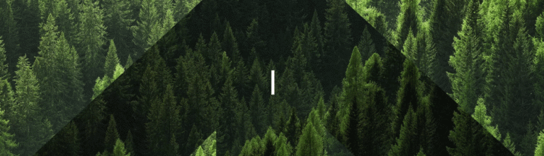 See The Forest – Redwood’s New Brand Identity